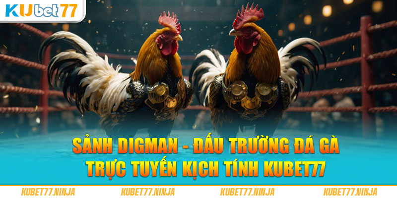 Sảnh Digmaan - Sân Chơi Đá Gà Uy Tín Chuyên Nghiệp